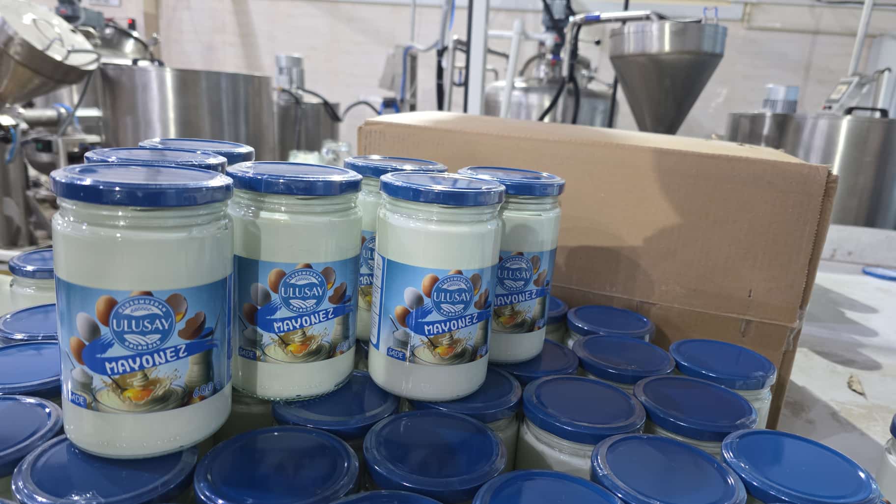 Ketchup-Mayonnaise - Aktitanyum Endustriyel Makina San